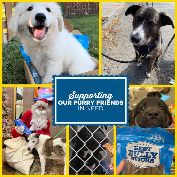 How Best Bully Sticks Supports Furry Friends in Need