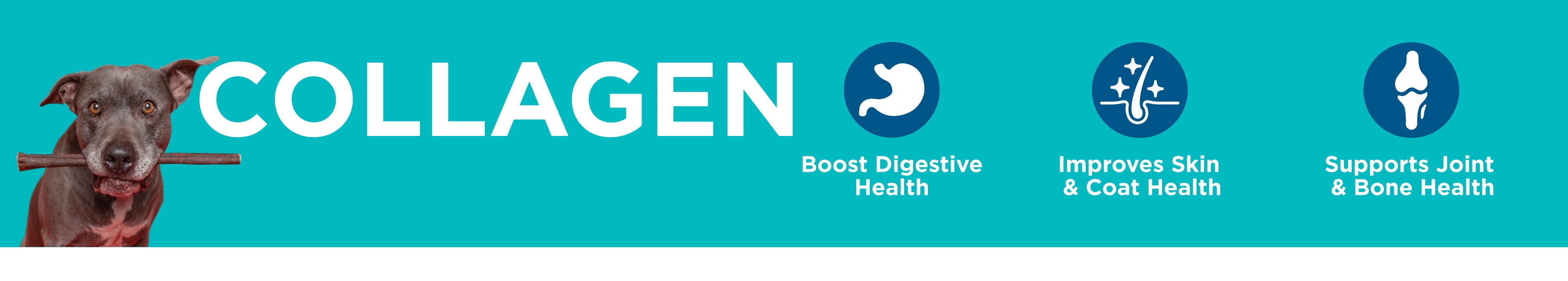 Collagen Sticks for Dogs | Long-Lasting & Healthy Chews