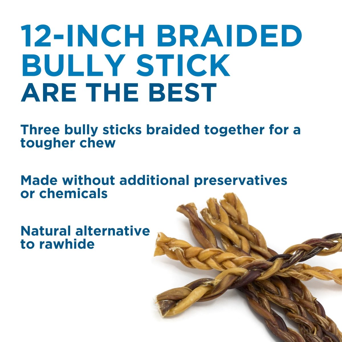 12-Inch Braided Bully Stick | Best Bully Sticks