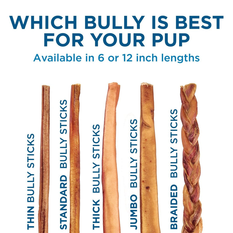 12-Inch Jumbo Bully Stick | Best Bully Sticks