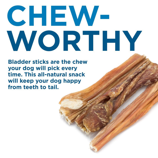 6-Inch Bladder Stick | Best Bully Sticks