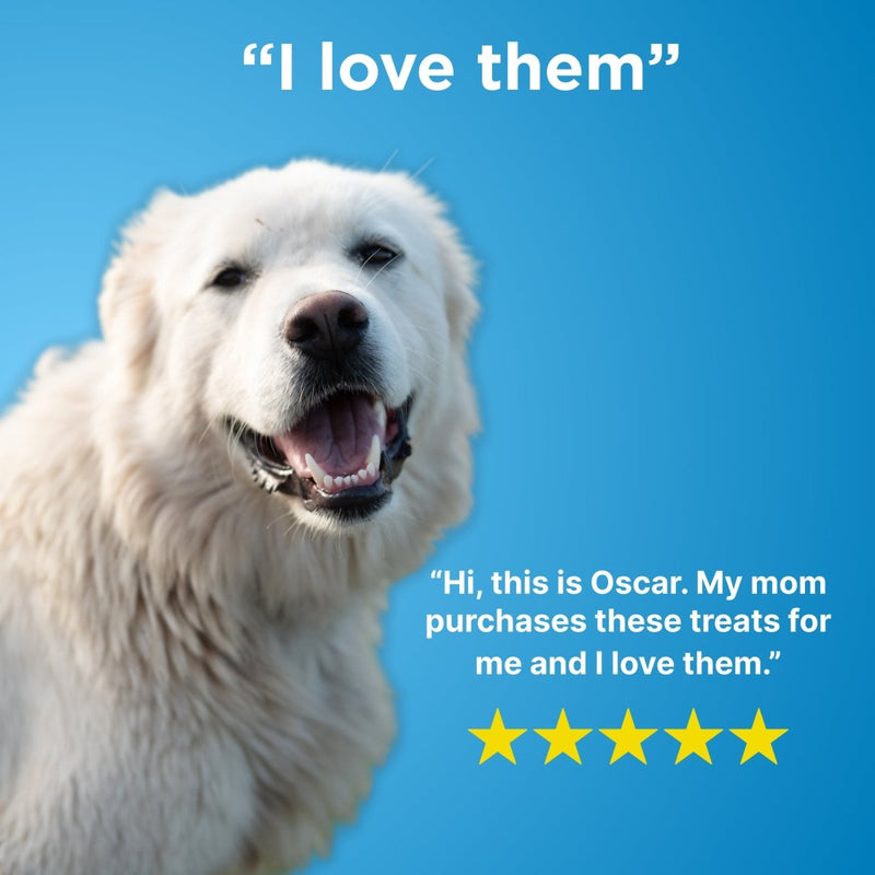 6-Inch Bladder Stick | Best Bully Sticks