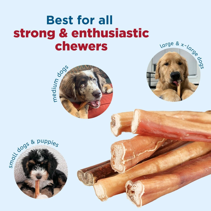 6-Inch Thick Bully Stick | Best Bully Sticks