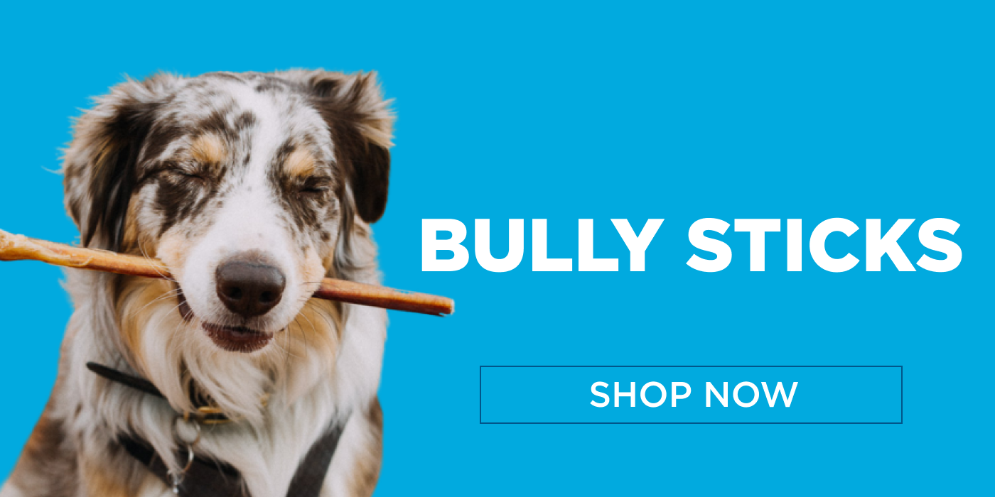 All-Natural, Single-Ingredient Dog Chews | Best Bully Sticks
