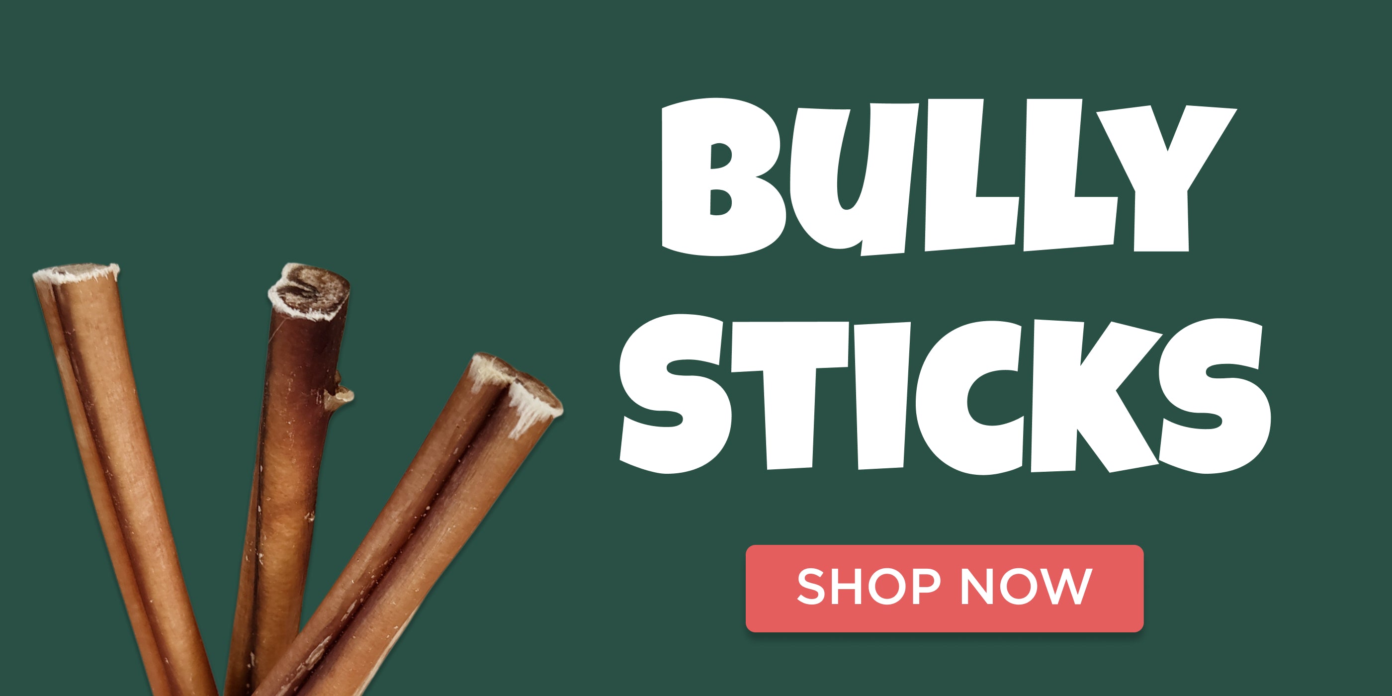 All-Natural, Single-Ingredient Dog Chews | Best Bully Sticks